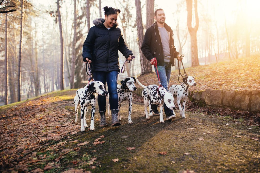 Über Uns - Premium Joint Care Erfahrungen